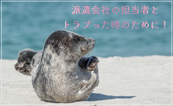 toraburu | あの頃、リゾートバイトをして今台湾。